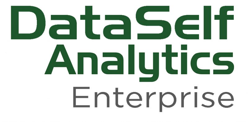 DataSelf_Enterprise_Logo