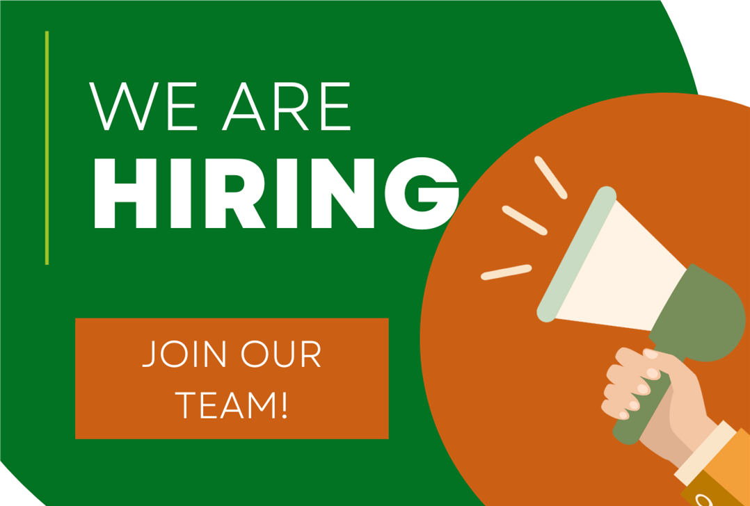 Career: MS Programmer C#, .NET