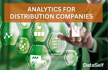 DataSelf Analytics for Distribution Companies